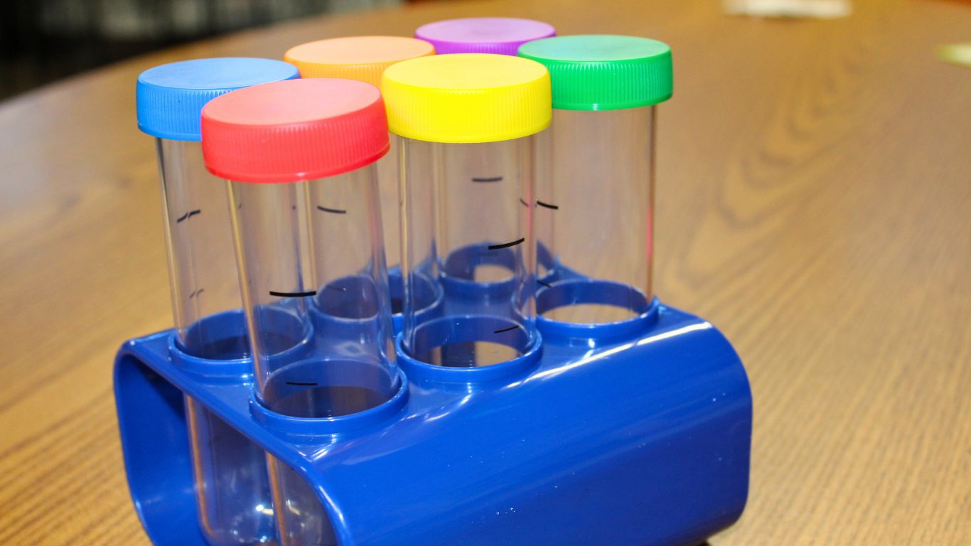 Colorful Carnations for the Science Fair - Mrs. B’s Beehive