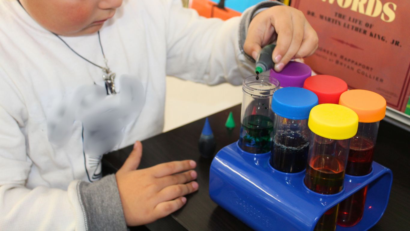 Colorful Carnations for the Science Fair - Mrs. B’s Beehive