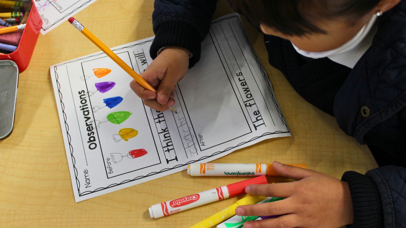 Colorful Carnations for the Science Fair - Mrs. B’s Beehive