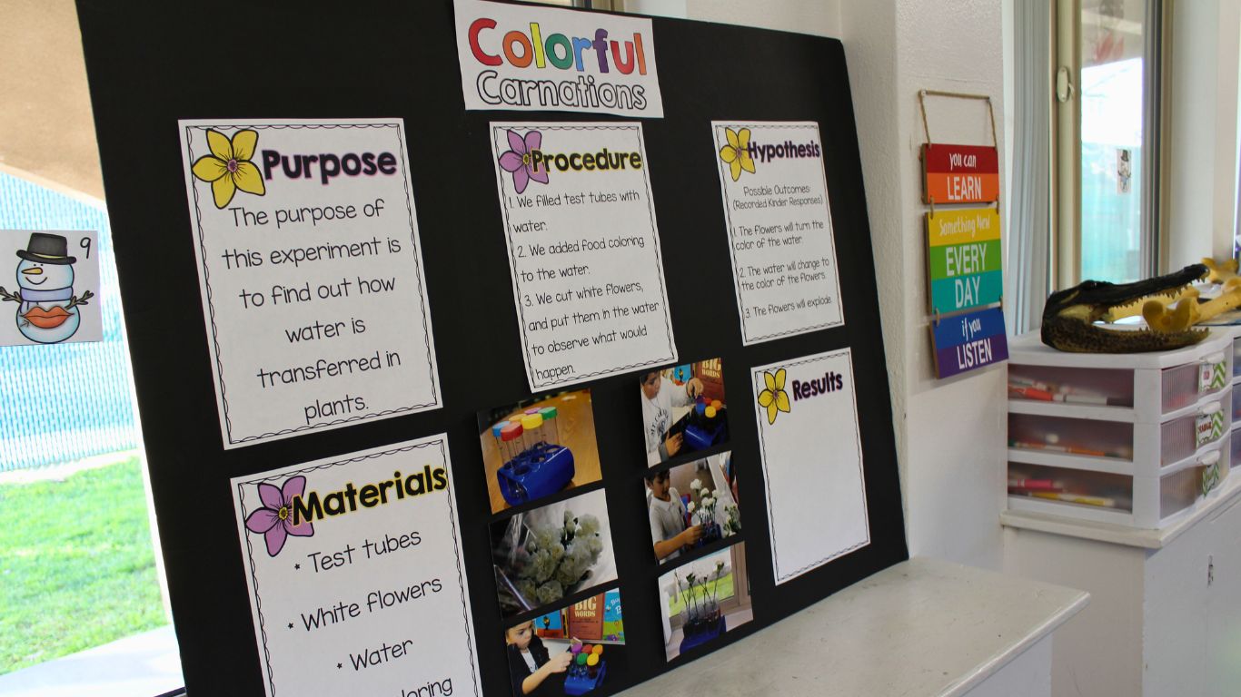 Colorful Carnations for the Science Fair - Mrs. B’s Beehive