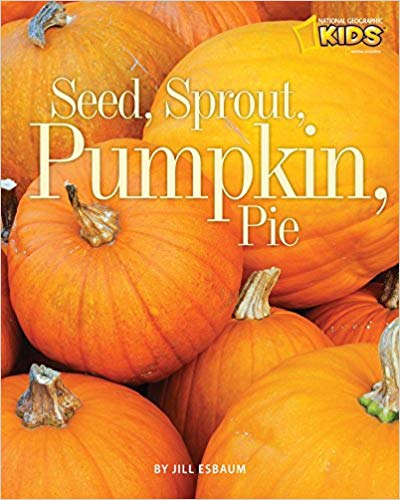 Pumpkin Books and Videos Your Students Will Love - Mrs. B’s Beehive