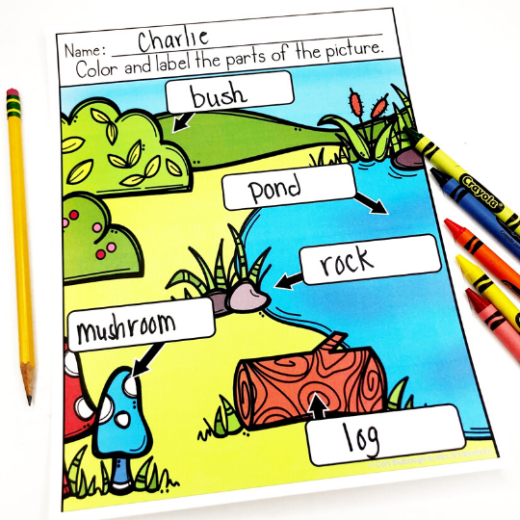 At-Home Learning with a Nature Walk - Mrs. B’s Beehive