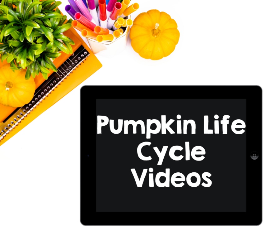 Pumpkin Life Cycle Resources - Mrs. B’s Beehive