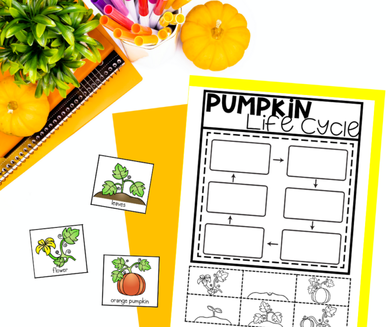 Pumpkin Life Cycle Resources - Mrs. B’s Beehive