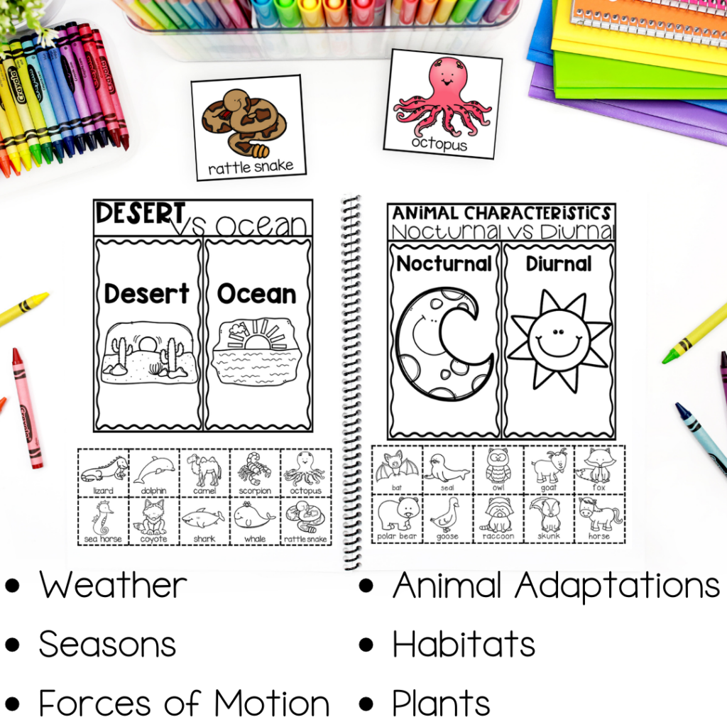Kindergarten Science Interactive Notebook - Mrs. B’s Beehive