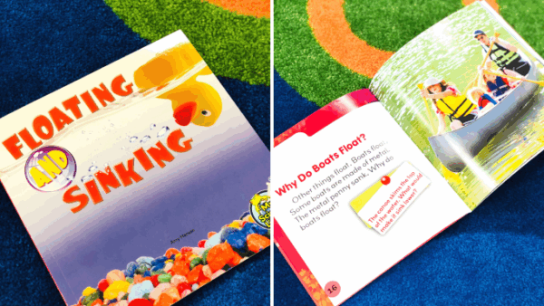 Sink or Float - Mrs. B’s Beehive