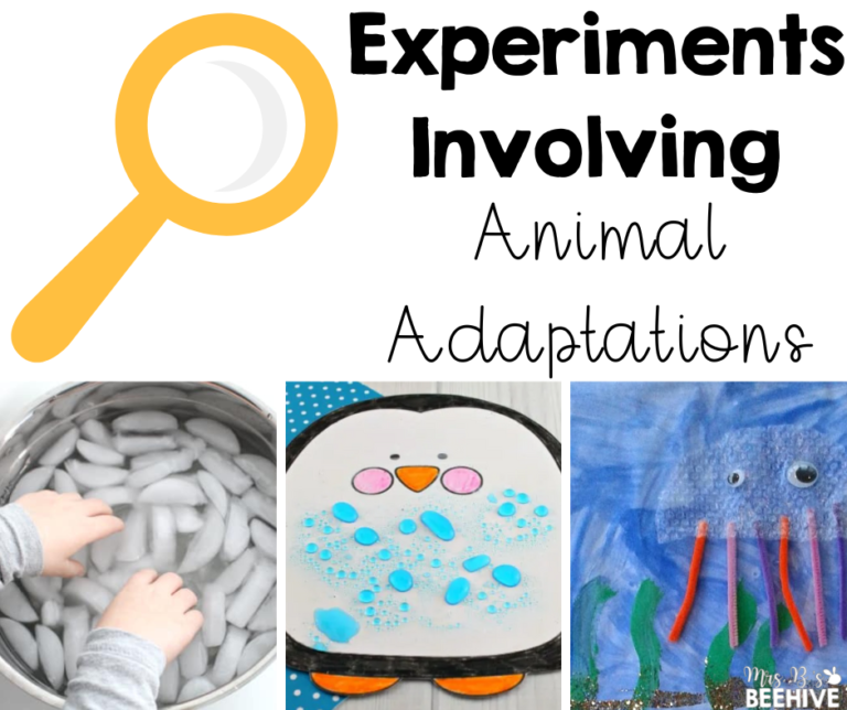 Learning About Animal Adaptations in Kindergarten