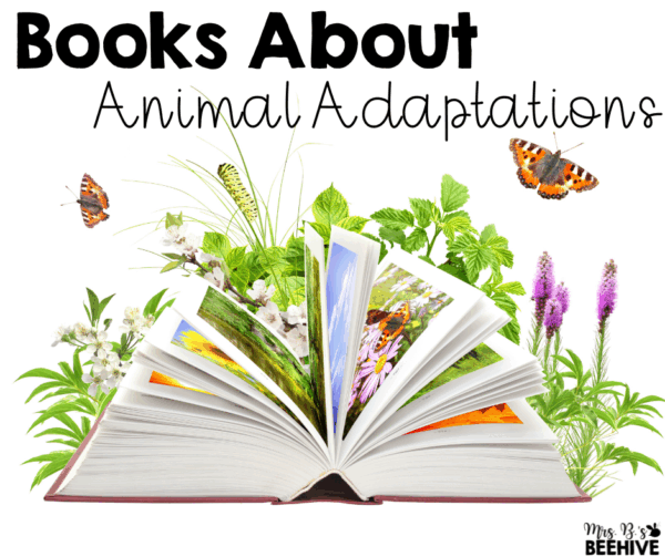 Learning About Animal Adaptations in Kindergarten