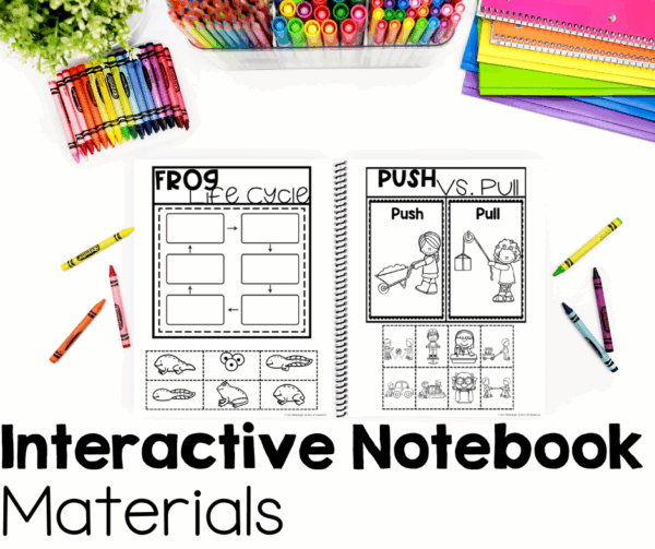 Making Learning Fun with Interactive Notebooks: A Guide for ...