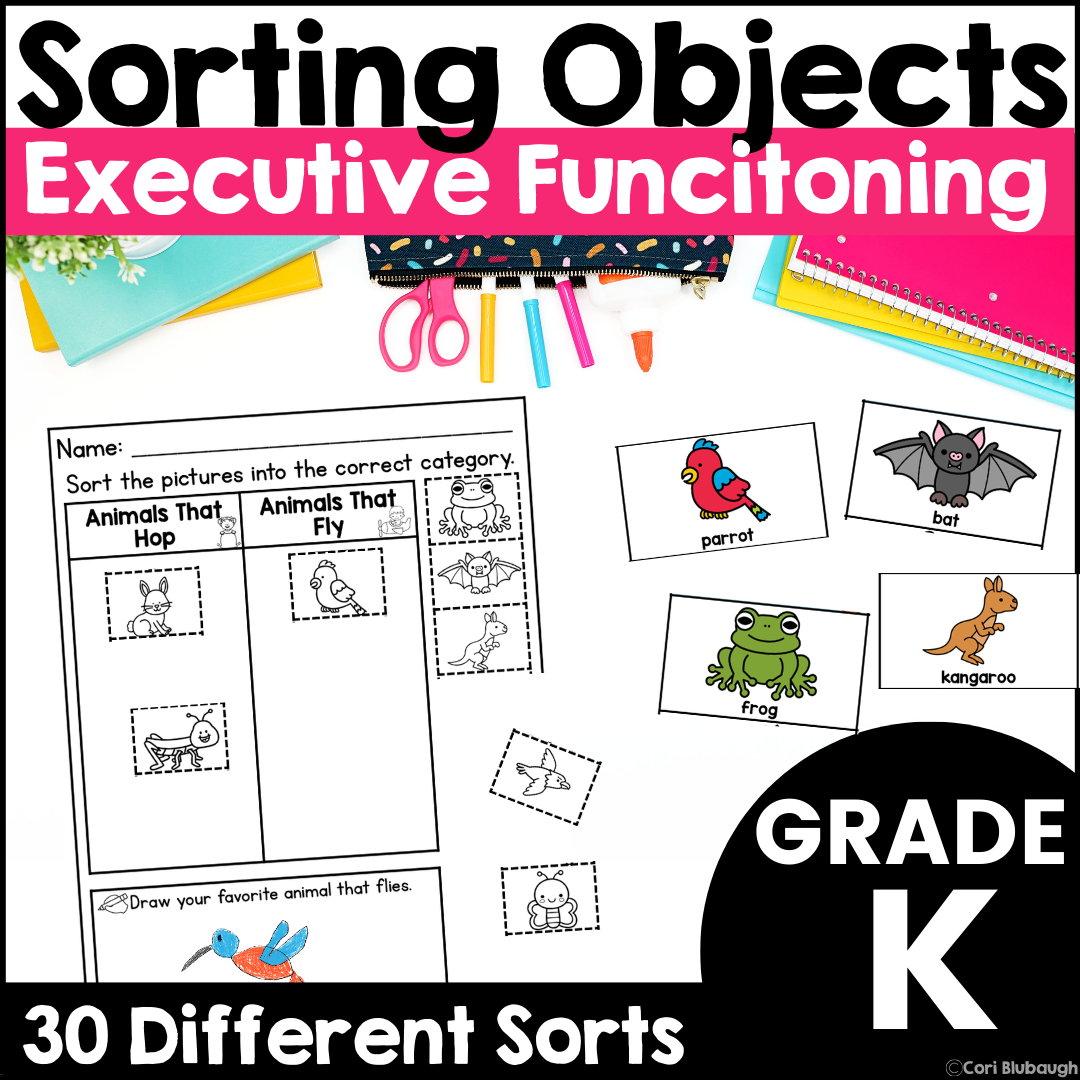 Sorting Objects Into Categories Worksheets - Mrs. B’s Beehive